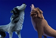 Alpha y Omega (2010) - Película en Español - FULLTV