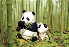 Monk, Little Dog - Boomerang Online en Español - FULLTV