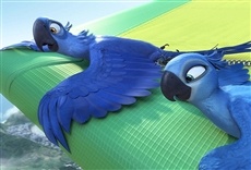 Rio (2011) - Película en Español - FULLTV