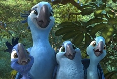 Rio 2 (2014) - Película en Español - FULLTV